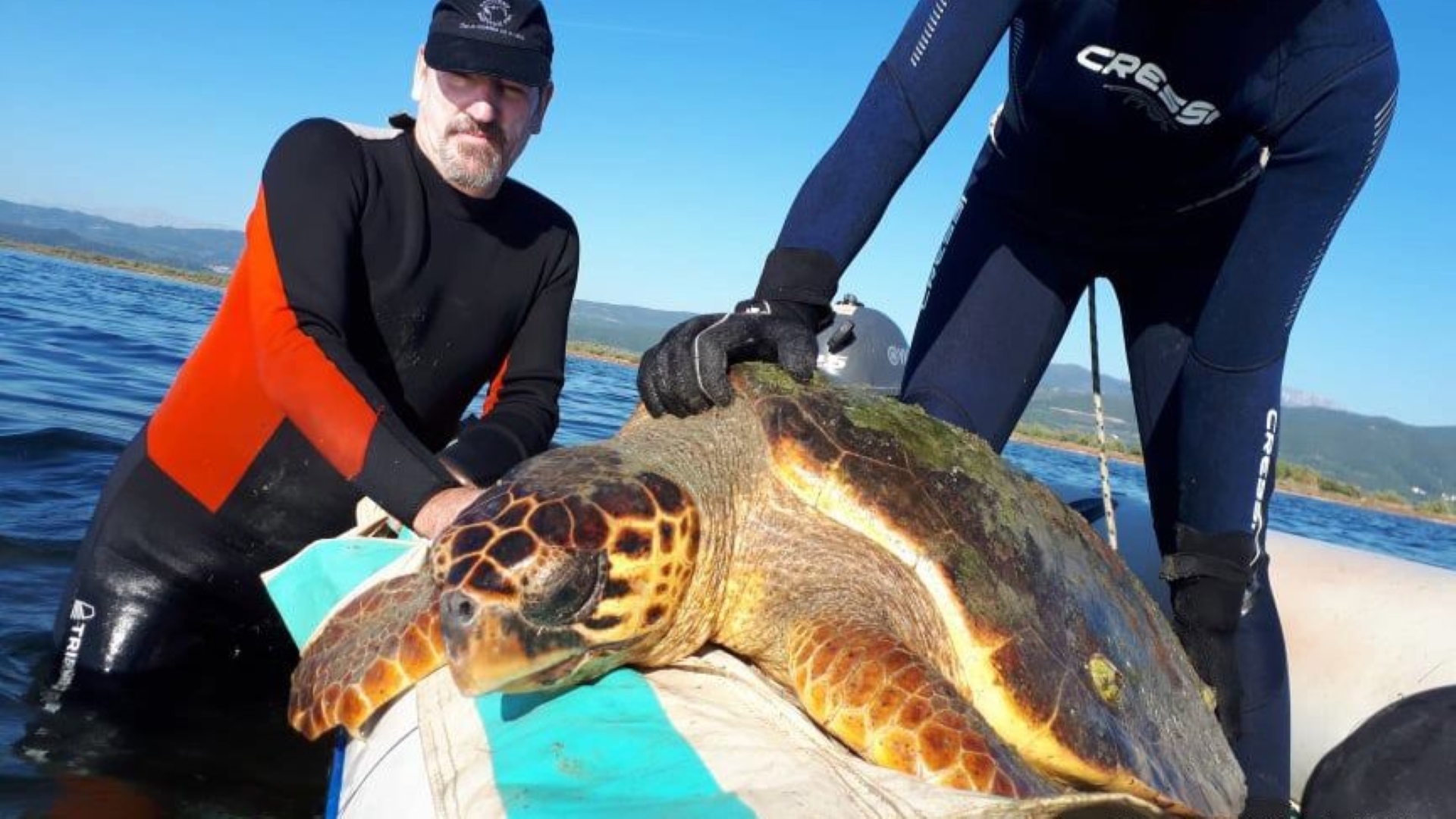 Together for the med - Conservation of Marine Turtles in the ...