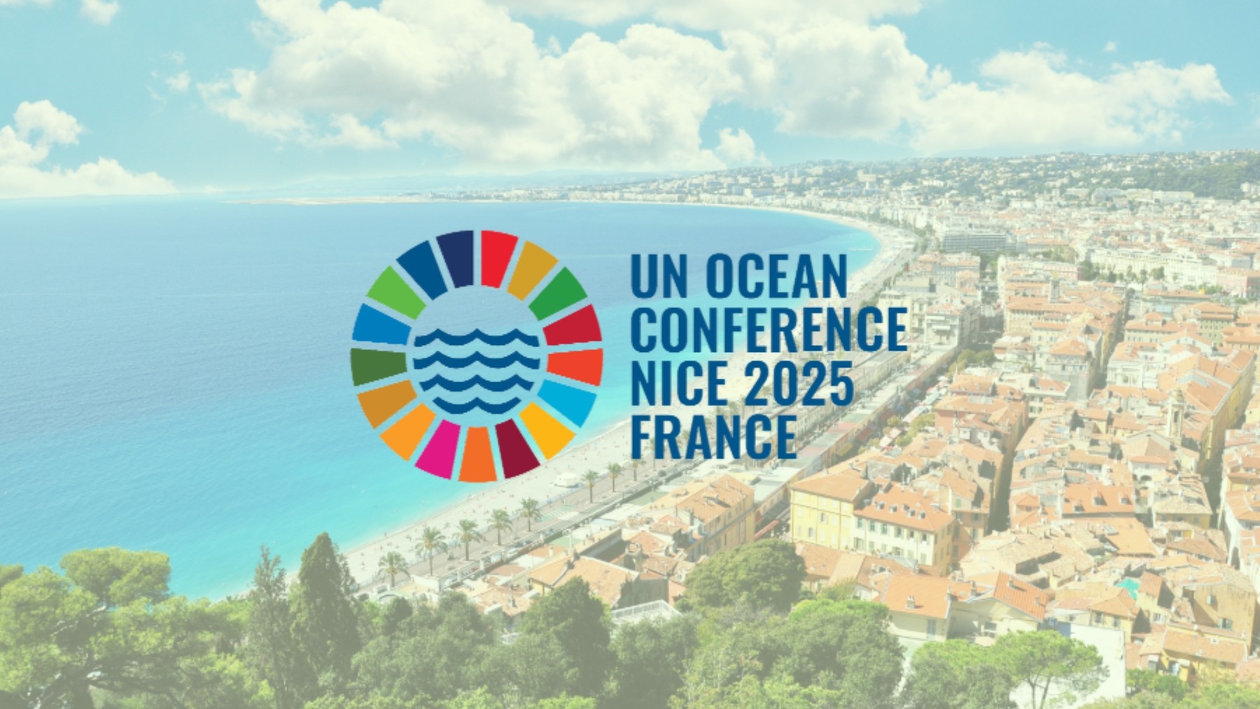 UN Ocean Conference: Over 70 Mediterranean NGOs call for 30% marine ...